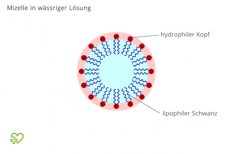 Mizellenwasser & Co.: Was man über Mizellen-Produkte wissen sollte ...