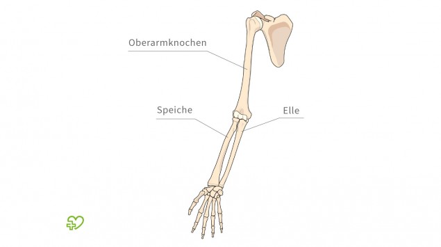 Röntgen - Onmeda.de